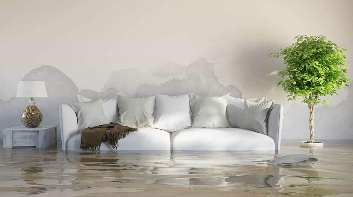 Get Expert Guidance on Your Residential Water Damage Restoration